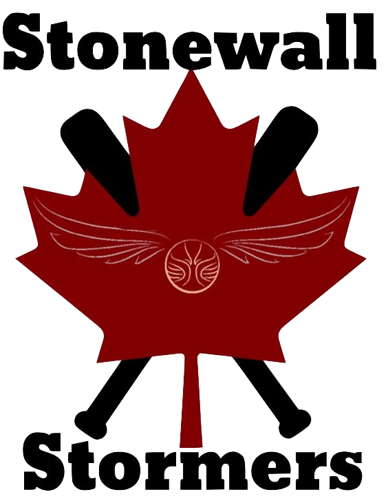 Stonewall Stormers | Quidditch League Wiki | Fandom