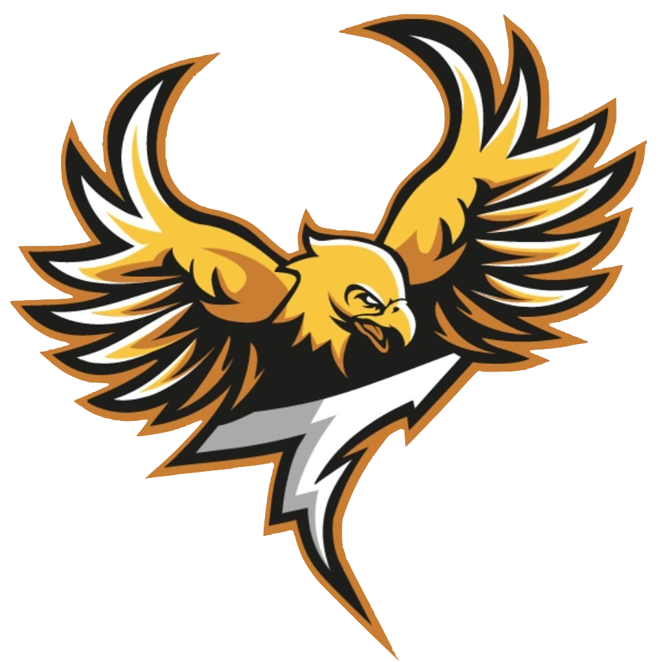 Turicum Thunderbirds | Quidditch League Wiki | Fandom