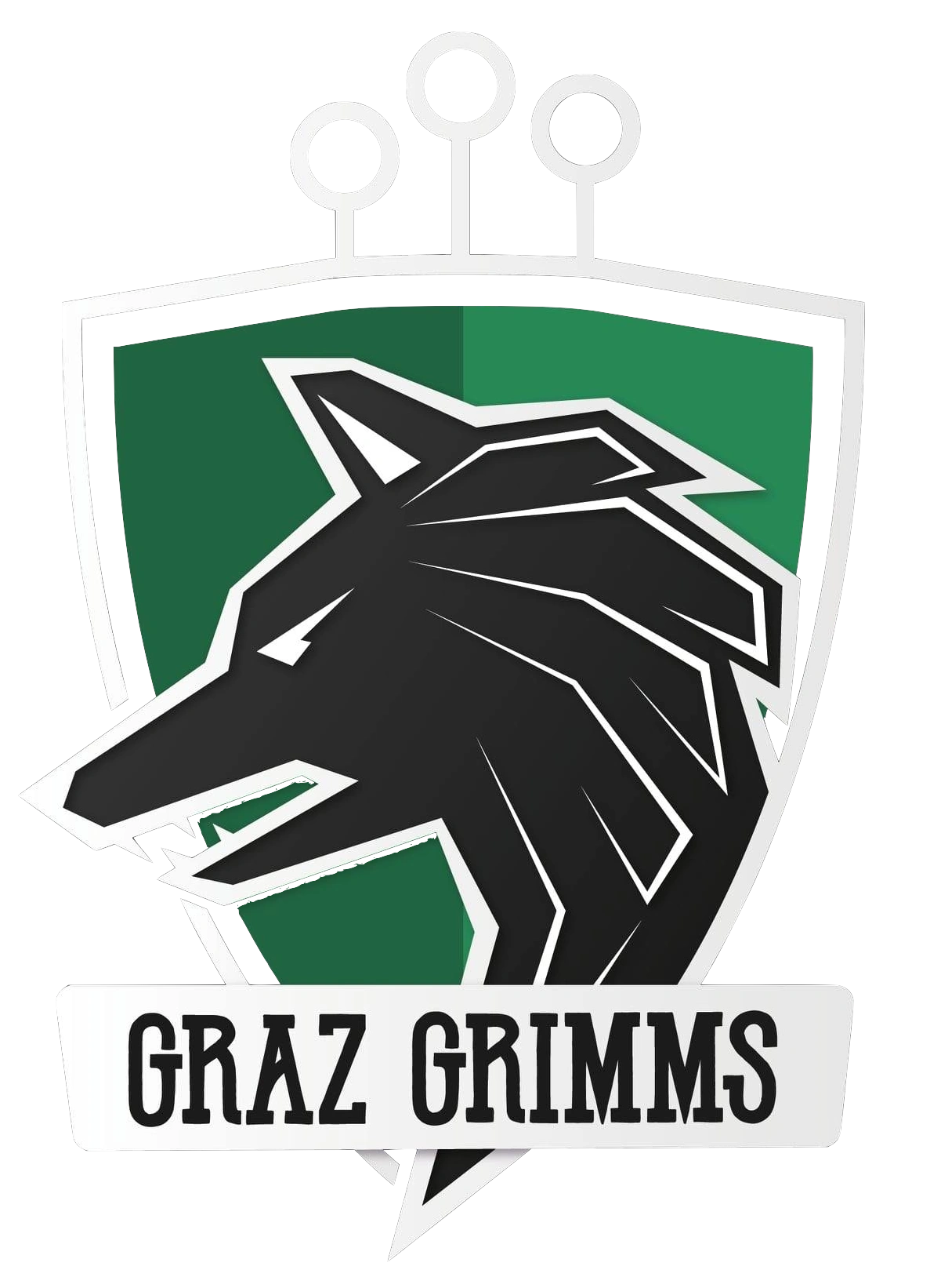 Graz Grimms | Quidditch League Wiki | Fandom