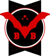 Ballycastle Bats | Quidditch League Wiki | Fandom