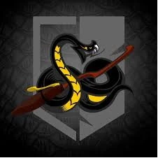 Black Basilisks | Wiki Quádbol | Fandom
