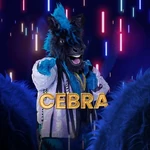 Primera Temporada | ¿Quién es la Máscara? Wiki | Fandom