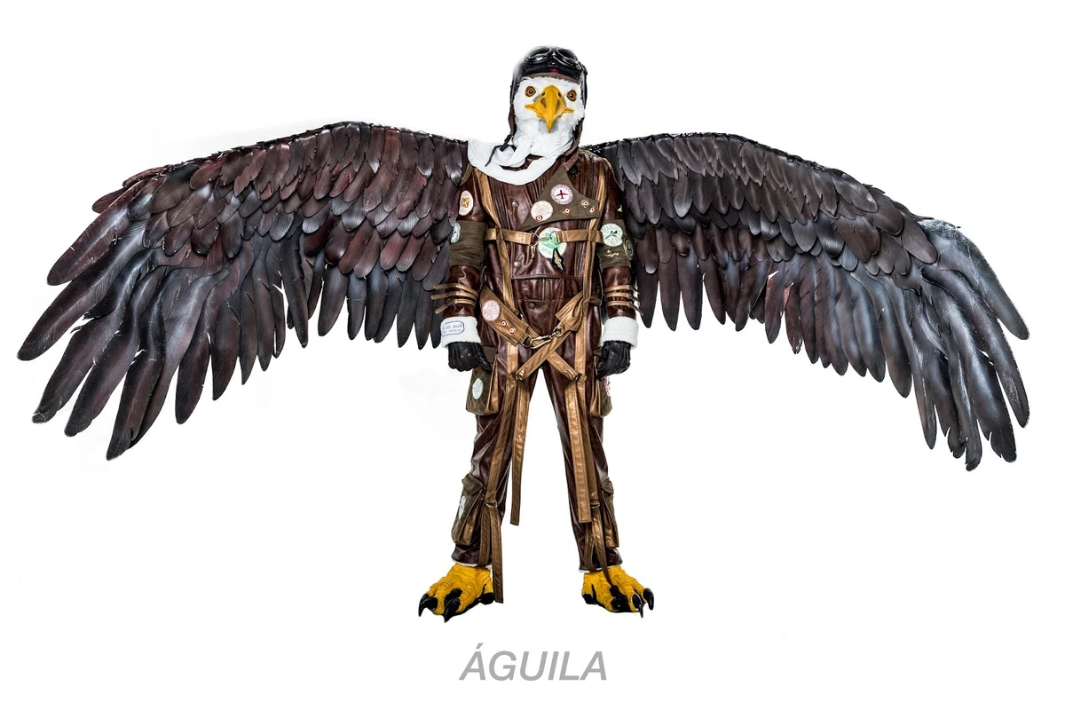 Águila | ¿Quién es la Máscara? Wiki | Fandom