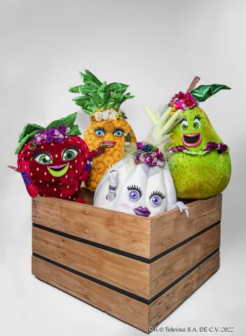 Huacal | ¿Quién es la Máscara? Wiki | Fandom