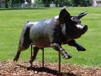 Francis the Pig | Quinn's Wiki | Fandom