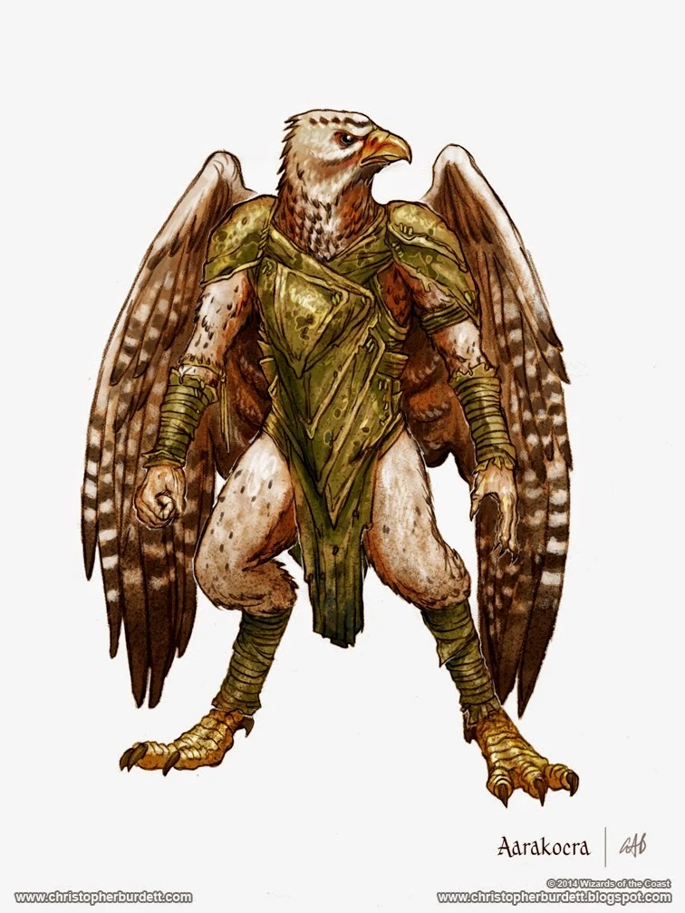 Aarakocra | Quirus Wiki | Fandom
