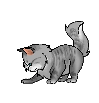 Moonkit | Quotev Blossomclan Wiki | Fandom