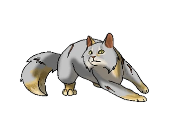 Primrosepaw | Quotev Blossomclan Wiki | Fandom