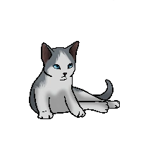 Lilackit | Quotev Blossomclan Wiki | Fandom