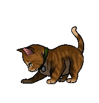 Jax | Quotev Blossomclan Wiki | Fandom