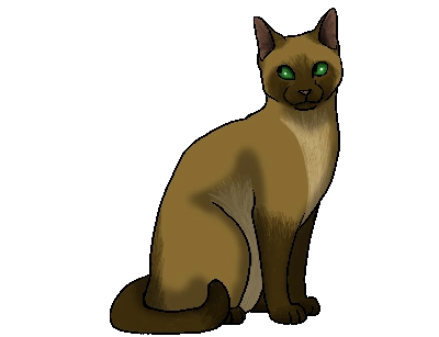 Sparrowdash | Quotev Blossomclan Wiki | Fandom