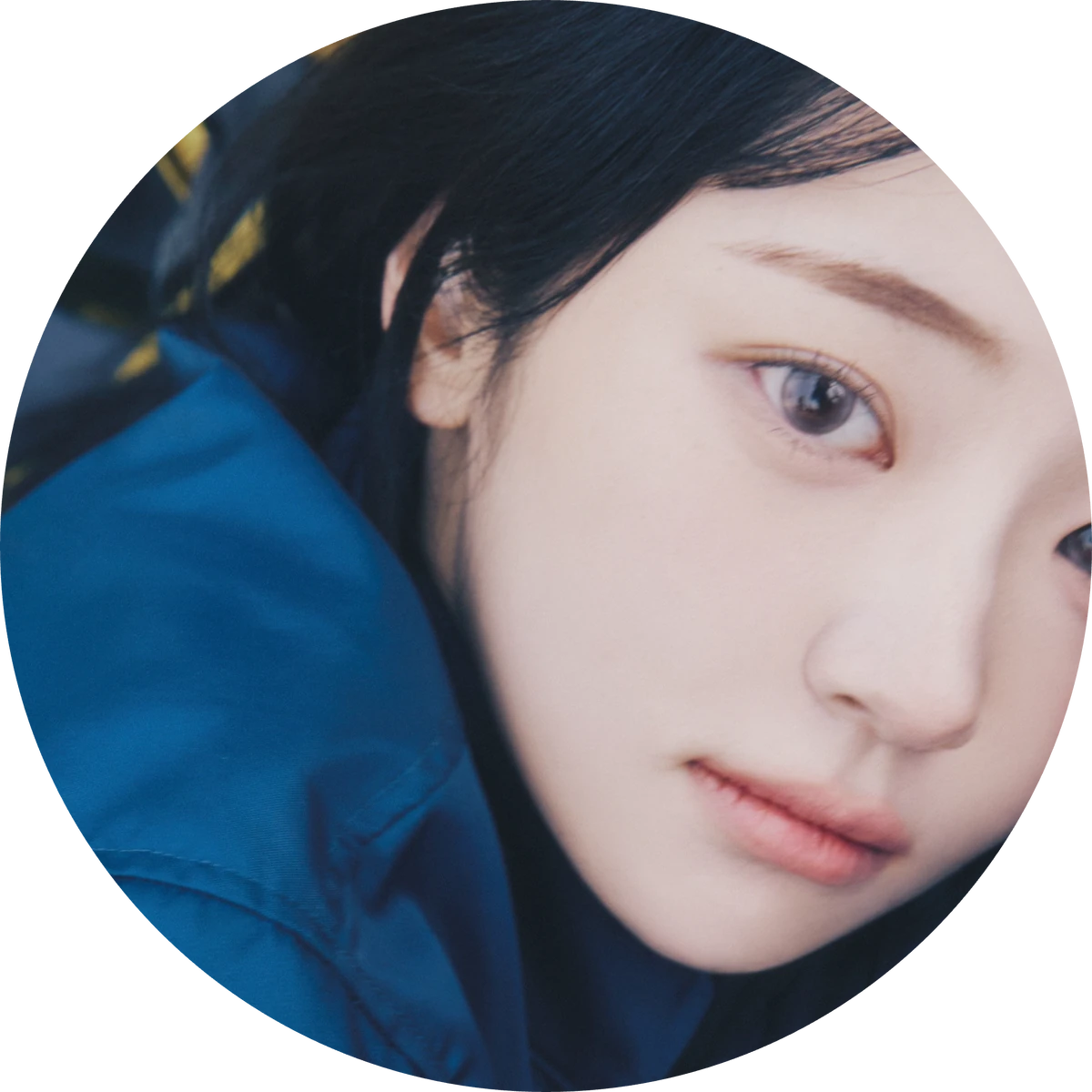 Category:Members | Qwer Wiki | Fandom