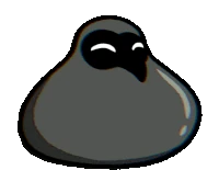 Birb | Qyuwi Wiki | Fandom