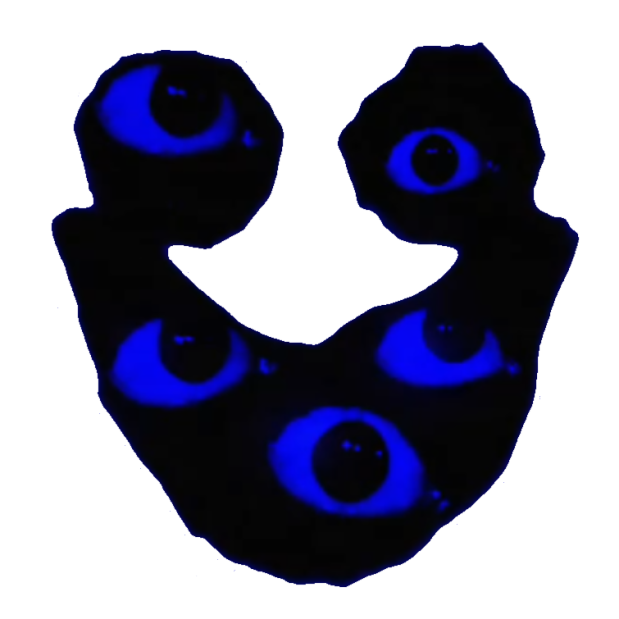 Iaspis | Roblox BRICKS Wiki | Fandom