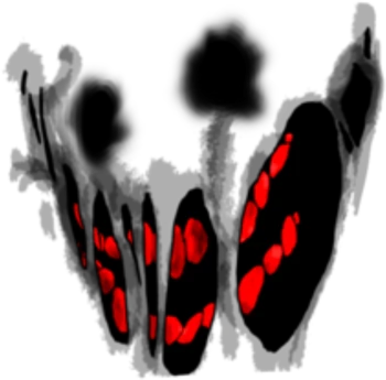 A-60 (The Multi Monster) | Expanded Rooms Wiki | Fandom