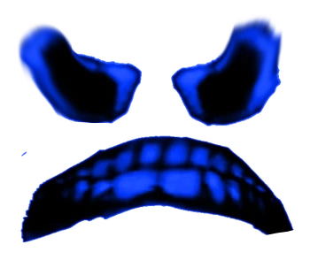 T-17 | Extraordinary Rooms Wiki | Fandom