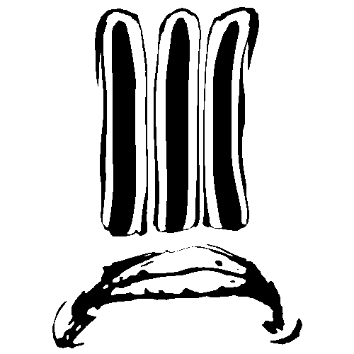 A-300 | Interminable Rooms: REBUILT Wiki | Fandom