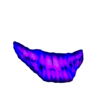 User blog:HQ 764 ETVM/Fanmade Entities | Roblox Interminable Rooms Wiki ...