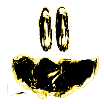 User blog:Ch0phva/XE-60 | Roblox Interminable Rooms Wiki | Fandom