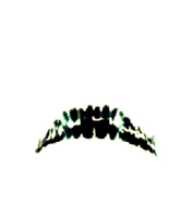 X-247 | Roblox Interminable Rooms Wiki | Fandom