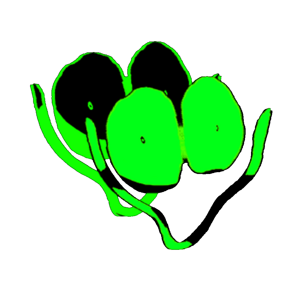 Discuss Everything About Roblox Interminable Rooms Wiki | Fandom