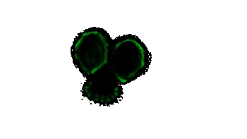 A-80 | Roblox Interminable Rooms Wiki | Fandom