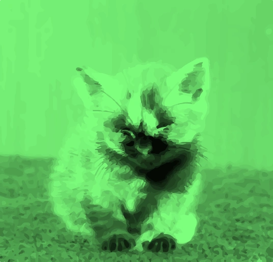 Boberto | Kitties Wiki | Fandom