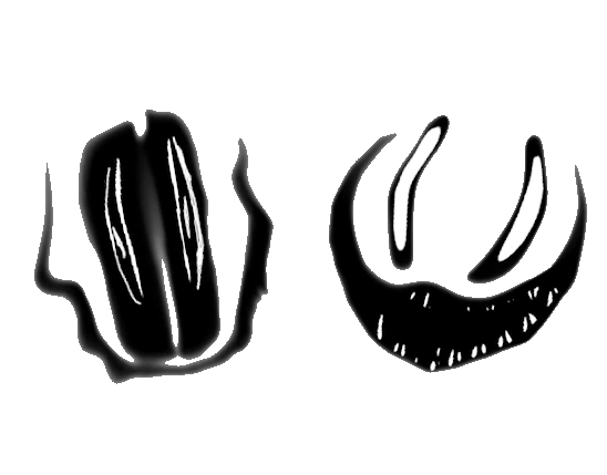 CCG-55 | Rooms low detailed fan ideas Wiki | Fandom