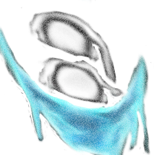 CT-10 | Rooms low detailed fan ideas Wiki | Fandom