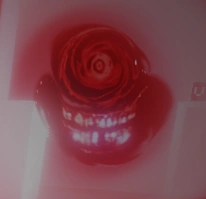 U-480 | The Liminal Rooms Wiki | Fandom