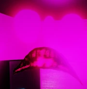 A-280 (The Smiling Giant) | The Liminal Rooms Wiki | Fandom