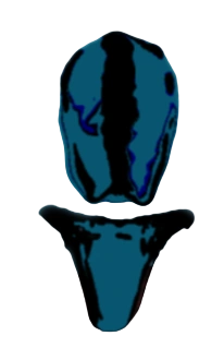 Beeblo | Neo's Rooms Wiki | Fandom