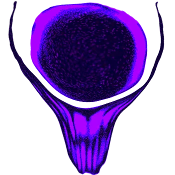 U-40 Hoax's G-88 Variants | Rooms fan-made entities Wiki | Fandom