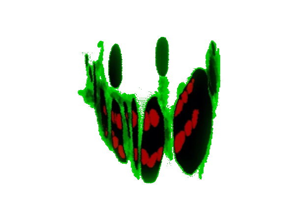 A-60 | R rooms nightmares Wiki | Fandom