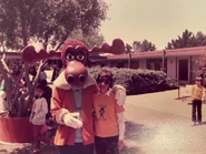Bullwinkle's Entertainment | Rocky and Bullwinkle Wiki | Fandom