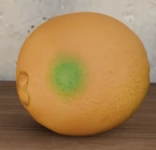 The Infected Orange | Rabbert Wiki | Fandom