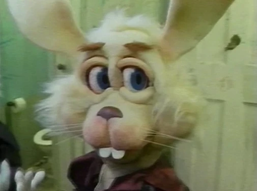 Harry | Rabbit and Hare Wiki | Fandom