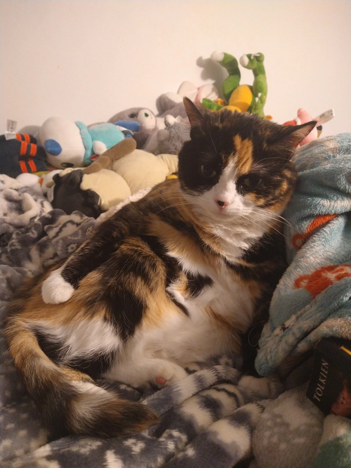 Trubbish | Rabbit Lore Wiki | Fandom