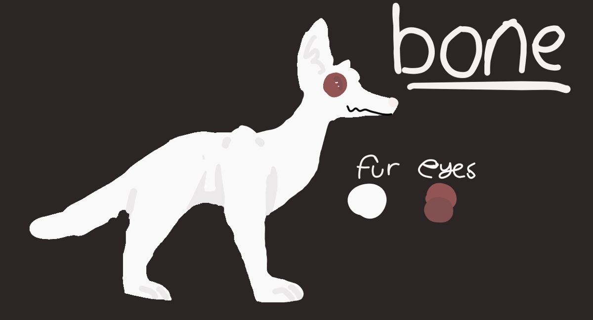 Bone | Rabbit VS Foxes RP Wiki | Fandom