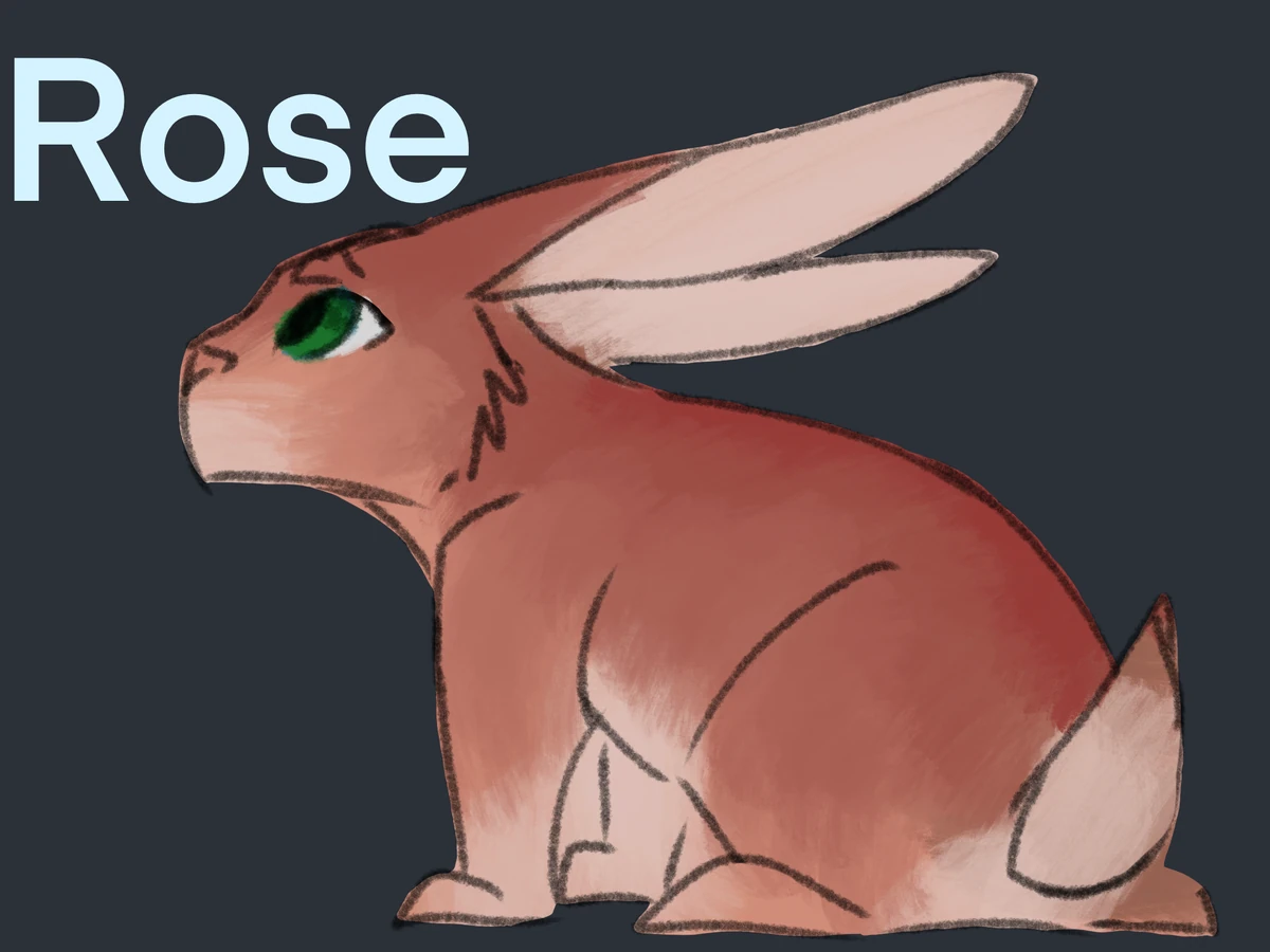 Rose | Rabbit VS Foxes RP Wiki | Fandom