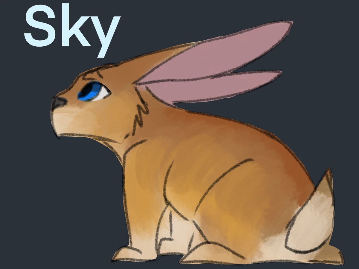 Sky | Rabbit VS Foxes RP Wiki | Fandom