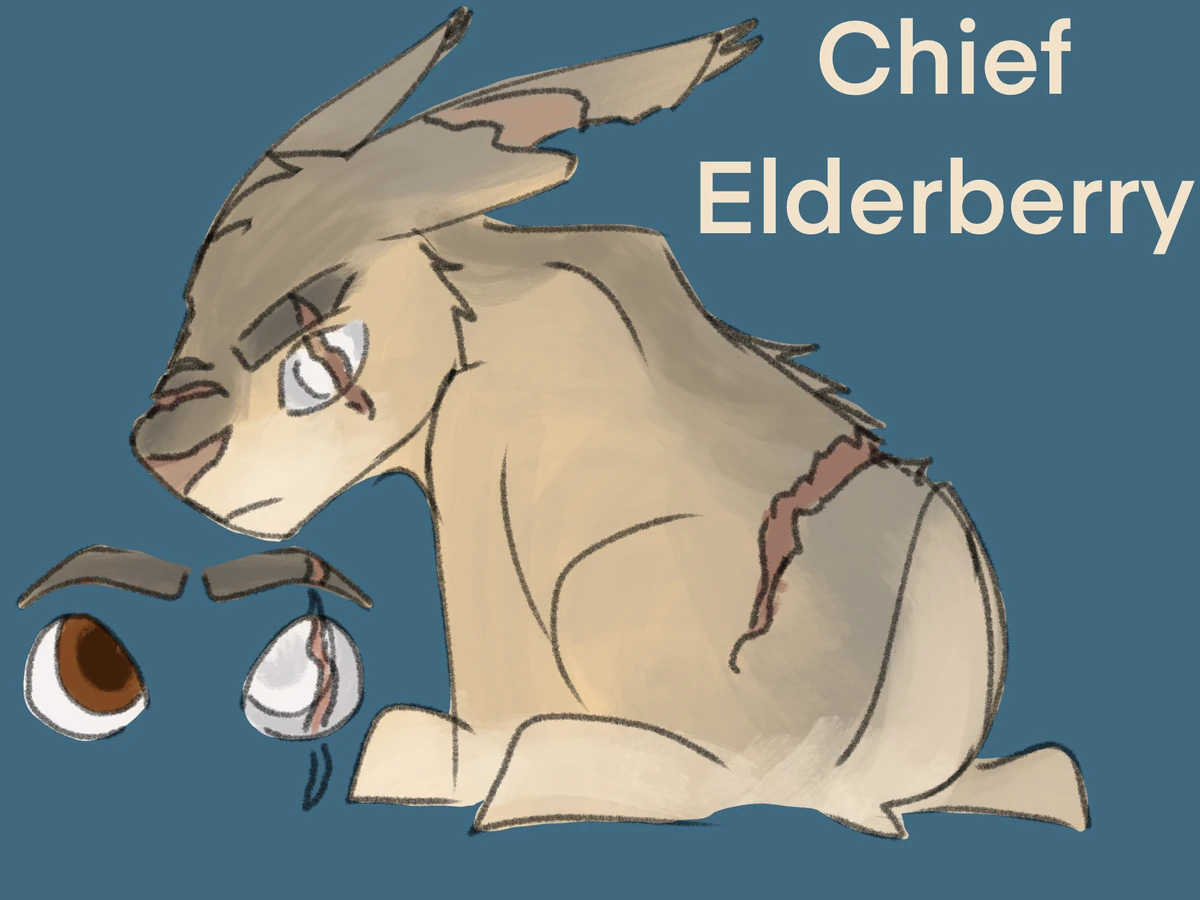 Chief Elderberry | Rabbit VS Foxes RP Wiki | Fandom