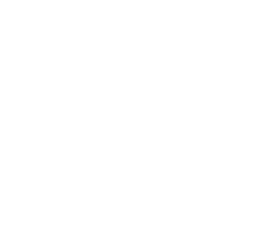 Race Max Pro Wiki | Fandom