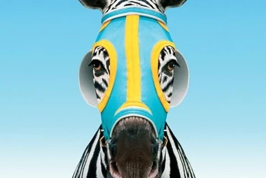 Racing Striper Sandy