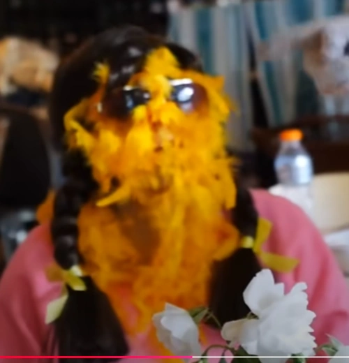 Birdie the Early Bird | RackaRacka Wiki | Fandom