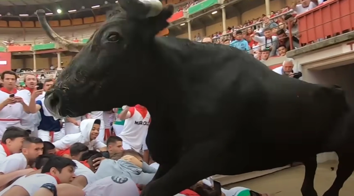 Bull | RackaRacka Wiki | Fandom