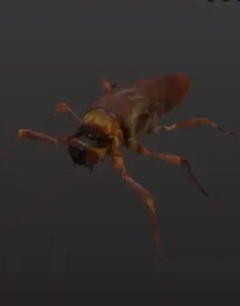 Cockroaches | Radiant Residents Wiki | Fandom