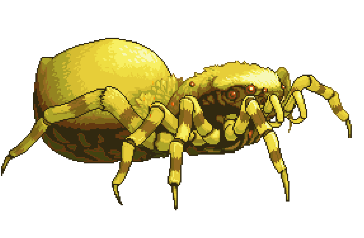 Hell Spider | Radiant Historia Wiki | Fandom