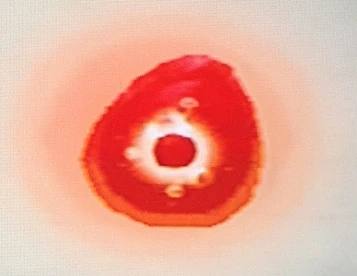 Red Orb | Radiatapedia | Fandom