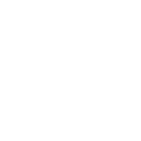 RAI | Радиопедия | Fandom